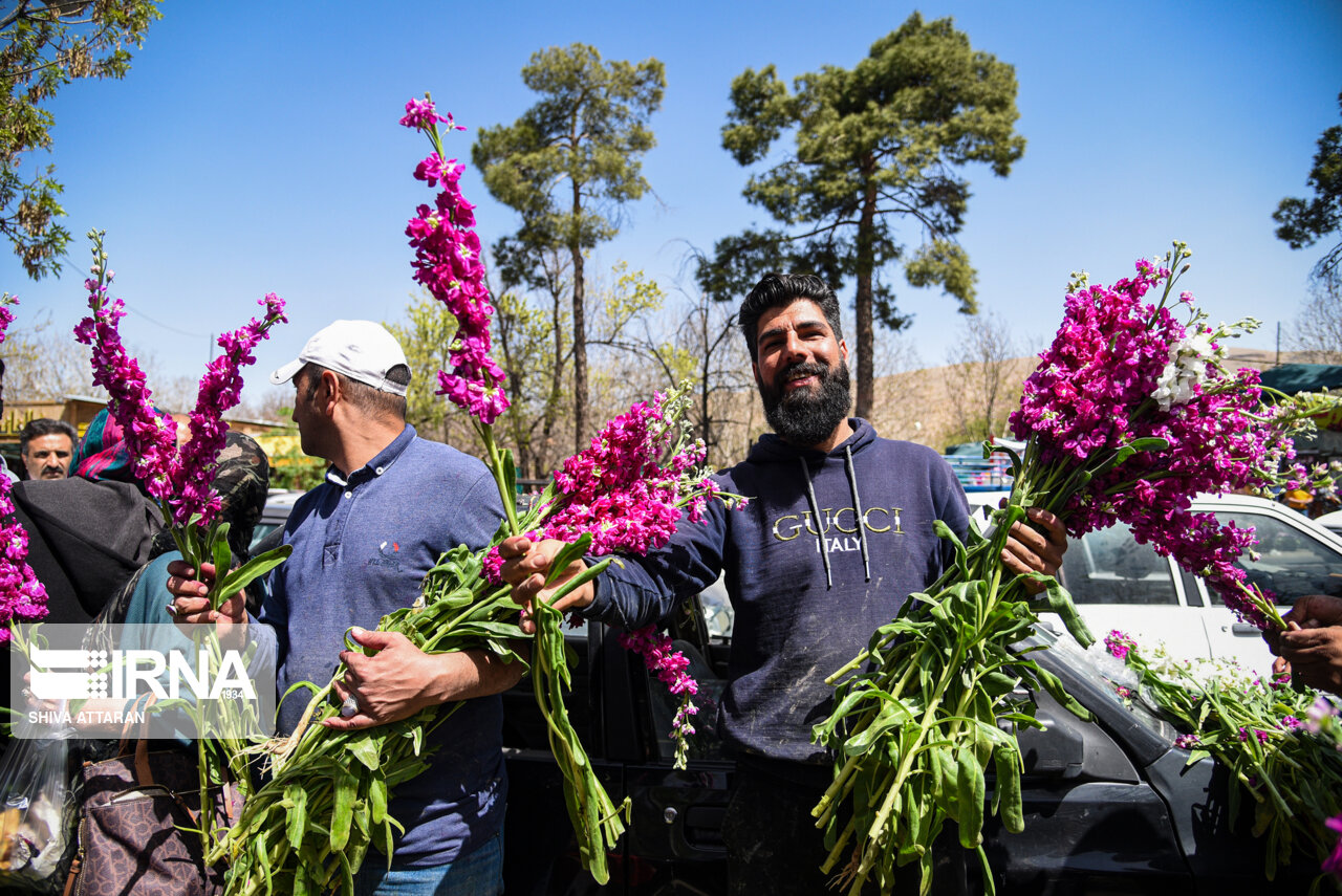 Flower market attracts huge crowd in Shiraz in last hours of century ...