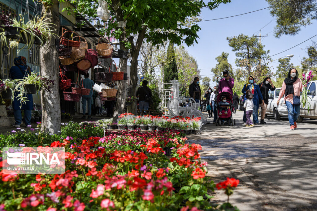 Flower market attracts huge crowd in Shiraz in last hours of century ...
