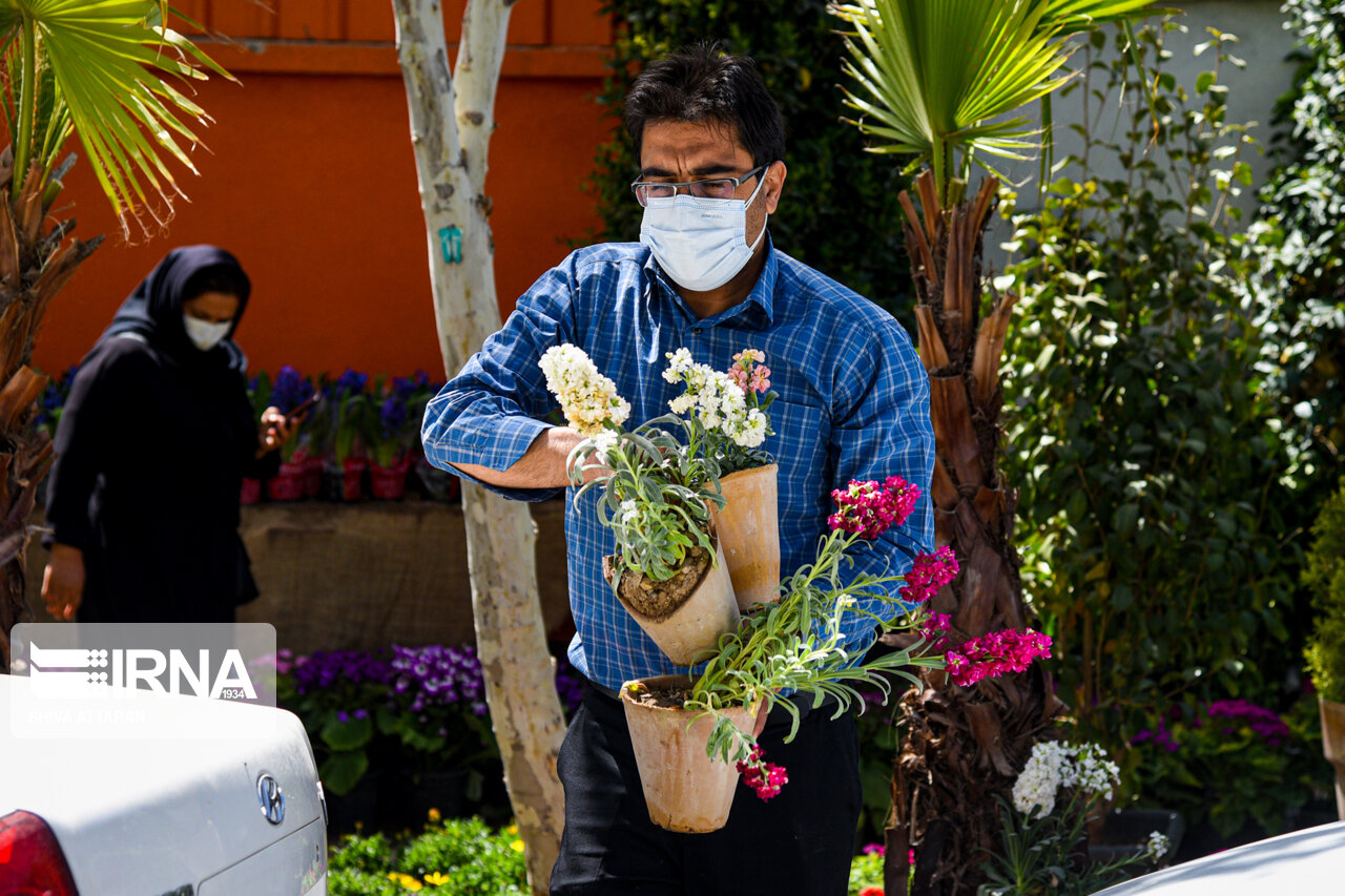 Flower market attracts huge crowd in Shiraz in last hours of century ...
